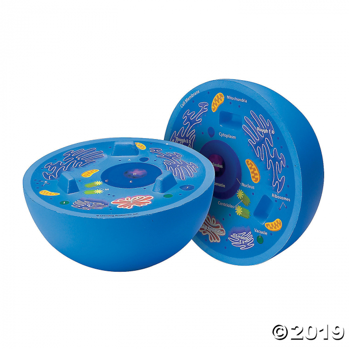 Learning Resources® Cross-Section Animal Cell Model (1 Set(s)) | GlowUniverse.com